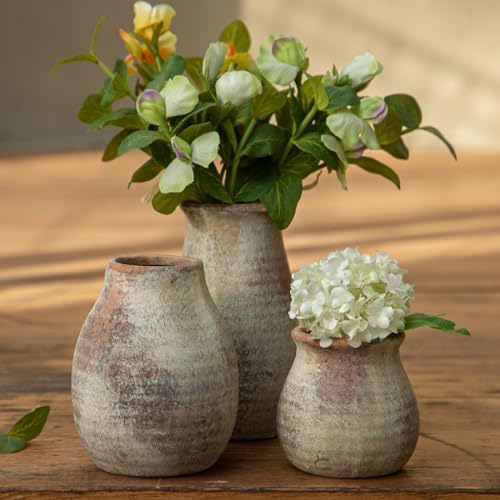 Amazon.com: CwlwGO - Juego de jarrones rústicos de cerámica, pequeños ...