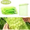 Amazon.com: 50pcs Fruit Net Bags, 6 X 8 Fruit Protection Bags for Fruit ...