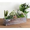 Amazon.com : MyGift Brown Solid Wood Planter Window Box, Indoor Flower ...