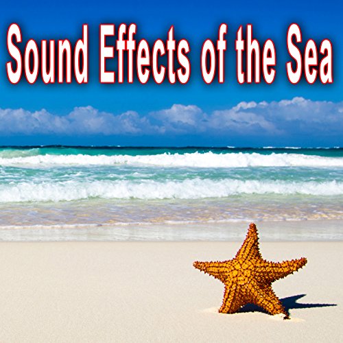 Sound Effects of the Sea von Sound Ideas auf Amazon Music Unlimited