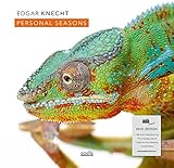 【発売日：2019年11月08日】・ブランド:Galileo Music Communication・製造元:Ozella Music