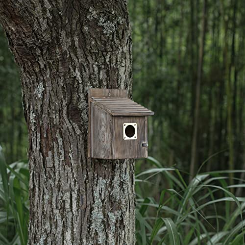 Snapklik.com : 6-Piece Metal Bluebird House Predator GuardMetal ...