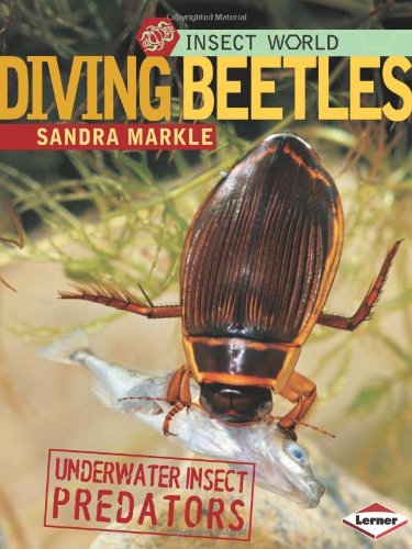 Diving Beetles: Underwater Insect Predators (Insect World): Markle ...