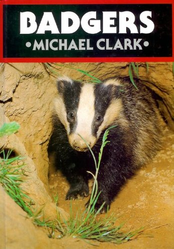 Badgers: Clark, Michael: 9780905483658: Amazon.com: Books