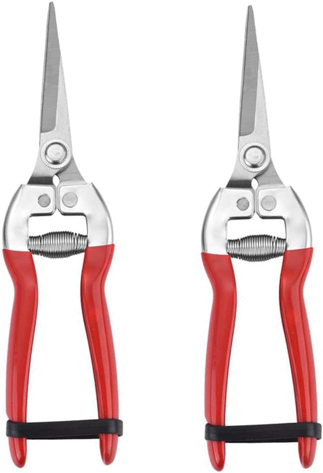 ARS Fruit Picking Shears - 190mm | Garden Scissors for Fruit Picking ...