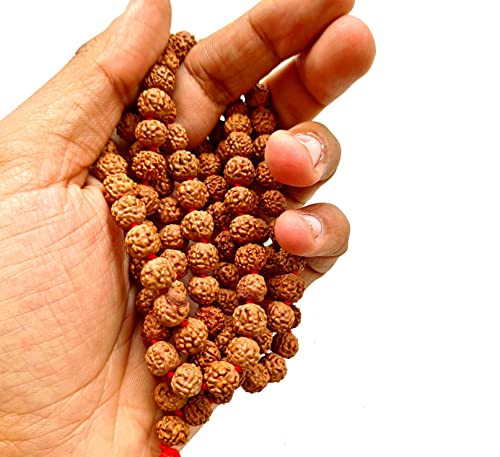 Mahadev Traders 5 Mukhi Rudraksha Mala / 108 Plus 1 Rudraksha Bead/Lab ...