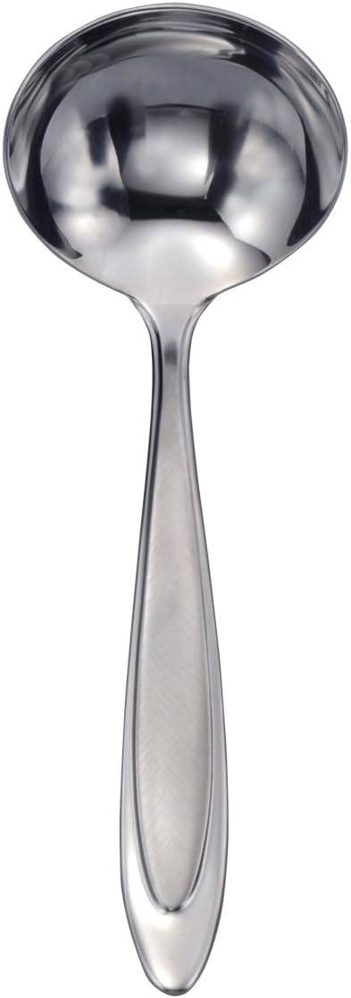 Amazon.com: Oneida Aurora Serving Ladle: Kitchen Ladles: Home & Kitchen