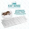 Amazon.com : Kat Sense Sticky Rat Traps 'N Mouse Glue Traps That Work ...