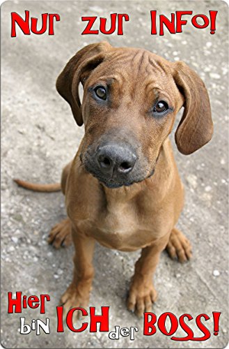 Rhodesian Ridgeback Schilder – Die 15 besten Produkte im Vergleich ...
