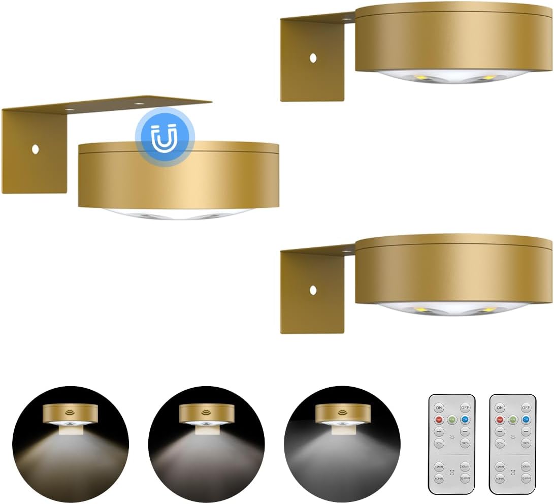 3Pack Picture Light Battery Operated Painting Lights for Wall Wireless ...