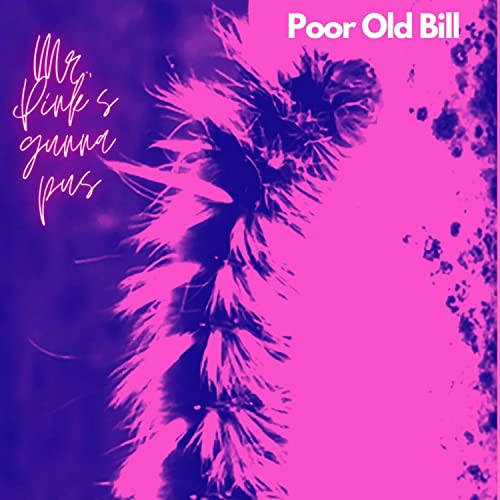 Amazon MusicでPoor Old BillのMr Pink is gunna pusを再生する