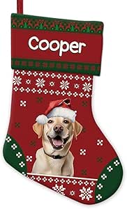 Amazon.com: JaeTou Labrador Retriever Dog in Santa Hat Red Christmas ...