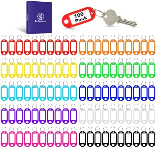 Redamancy 100 Pack Key Fobs with Labels, 10 Colors, Plastic Keyring ...