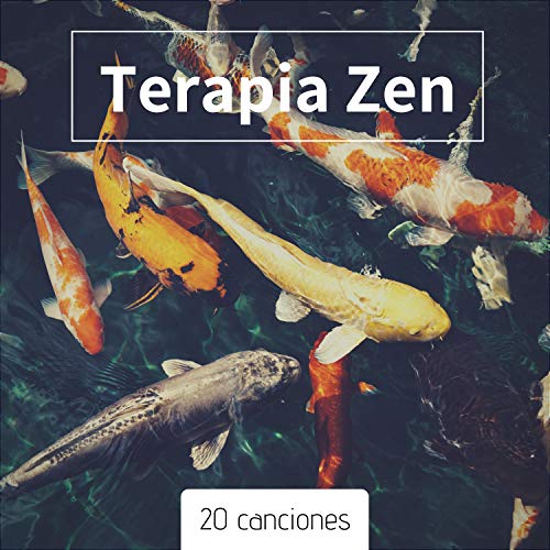 Play Terapia Zen: 20 Canciones - Mejor Música con Sonidos Curativos y ...