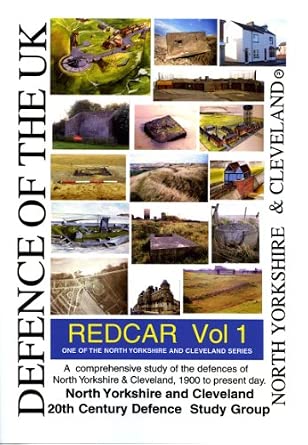 Redcar (v. 1) : Harwood, John Middleton, McMillan, Stuart: Amazon.com ...