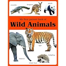 My First Picture Book of Wild Animals (Picture Books For Kids)