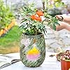Amazon.com: Sungmor 10.6 Inch Ceramic Succulent Plant Pot with Drainage ...
