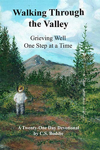 Amazon.com: Walking Through the Valley: Grieving Well One Step at a ...