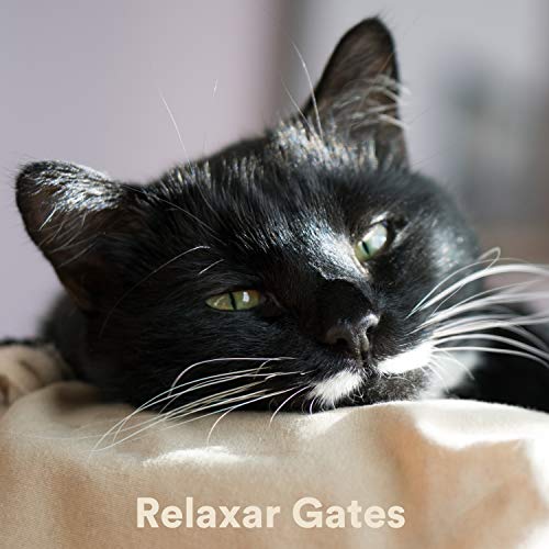 Écouter Relaxar Gates par VARIOUS ARTISTS & The Cat Relaxer sur Amazon ...