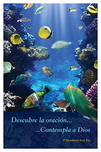 Amazon.co.jp: Descubre la oración... Contempla a Dios (Spanish Edition ...