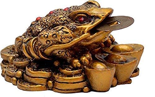 Buy Indian Vastu Feng Shui Money Frog with Coin Showpiece - Brass (4 cm ...