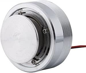 Amazon.com: FAUOSWUK 1Pcs Resonance Speaker, 50MM 2Inch All Frequency ...