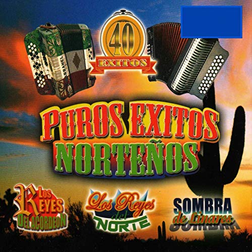 Reproducir Puros Exitos Nortenos de VARIOUS ARTISTS en Amazon Music