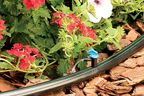 Snapklik.com : Rain Bird FE20-25SX Drip Irrigation 2 Gallon Per Hour ...