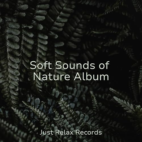 Amazon Music - Natural SoundsのSoft Sounds of Nature Album - Amazon.co.jp