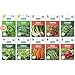 Amazon.com: Back to the Roots Organic Seed Bundle - Herbs and ...