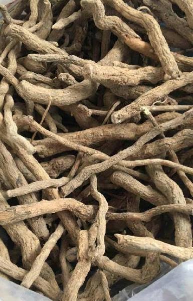 AYURVEDIC ZONE Sarpagandha Root, Indian Snakeroot,Chota Chand ...