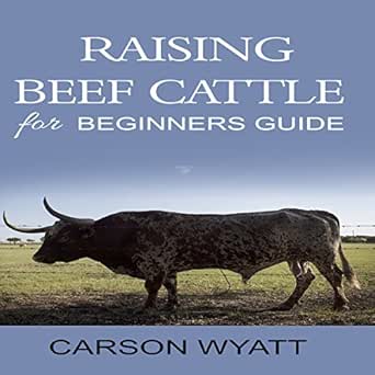 Amazon.com: Raising Beef Cattle for Beginner's Guide (Audible Audio ...
