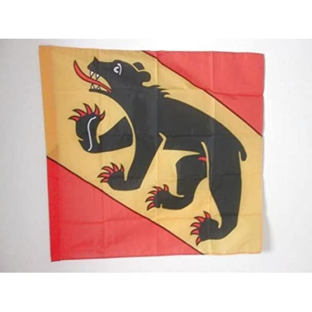 Amazon.com : Canton of Bern Flag 3' x 3' for a pole - Bern - BE flags ...