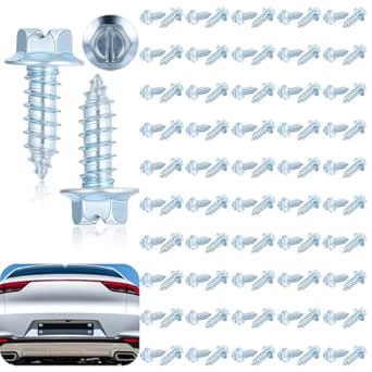 Amazon.com: 100 Pcs License Plate Mounting Screws, License Plate Screw ...