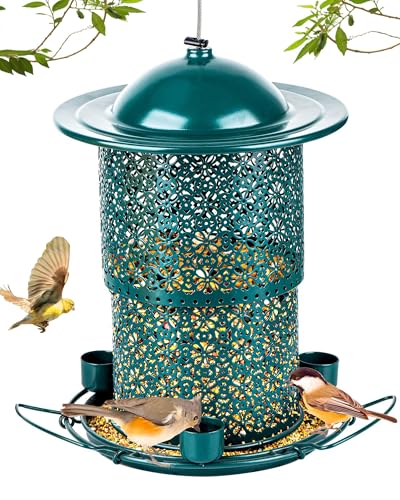 Best Large Outdoor Bird Feeders: Feeding Our Feathered Friends in Style ...