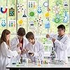 Amazon.com: 48Pcs Science Cutouts Science Bulletin Board Decorations ...
