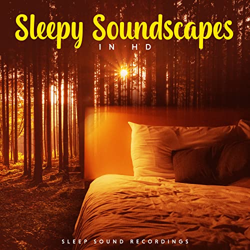 Amazon.com: Sleepy Soundscapes in HD : Sleep Sound Recordings: Digital ...