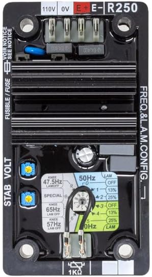 Amazon.com: Replacement For AVR R250 Automatic Voltage Regulator 2031 ...