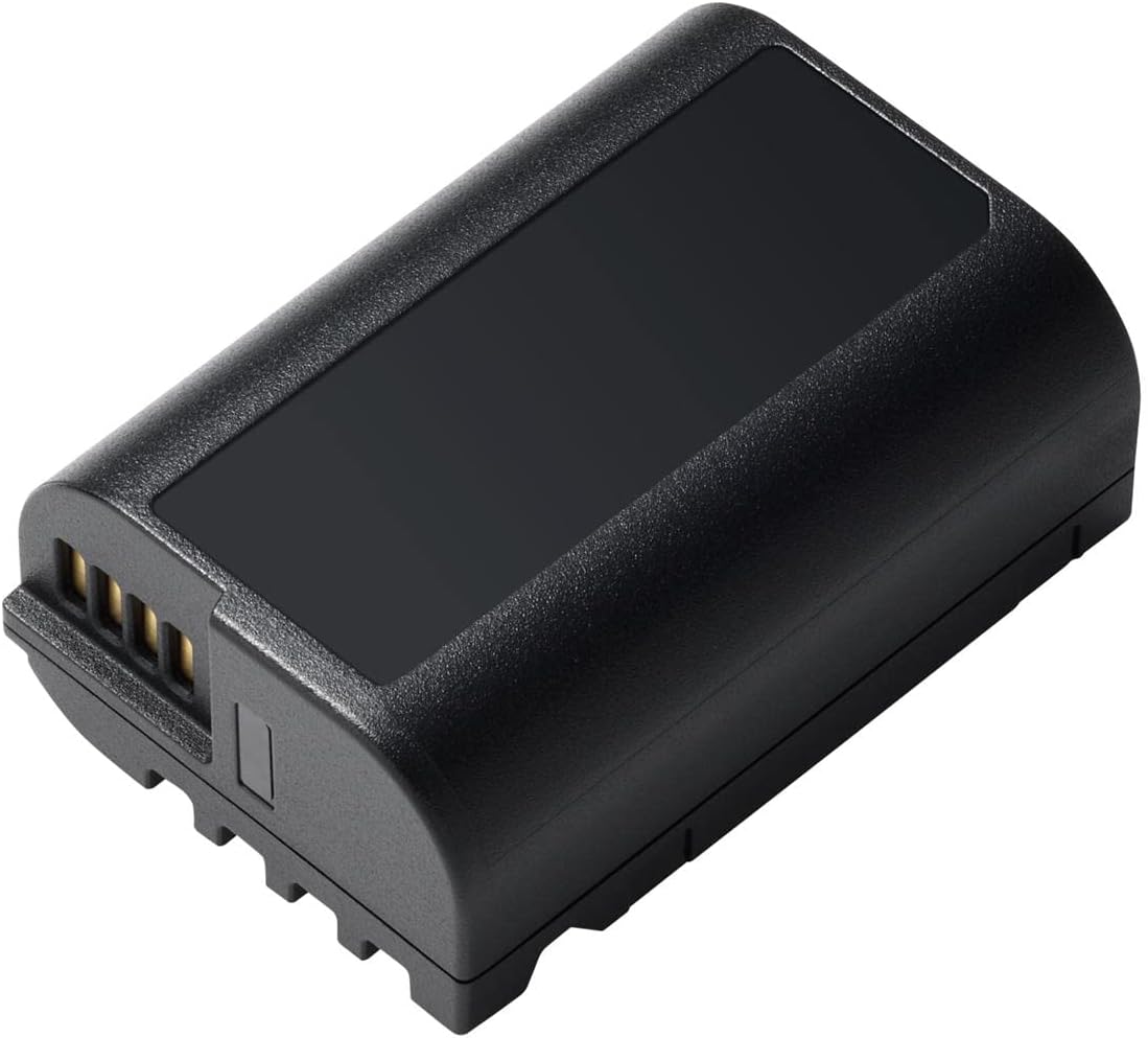 Amazon.com : Panasonic DMW-BLF19 Lithium-Ion Battery Pack (Black ...