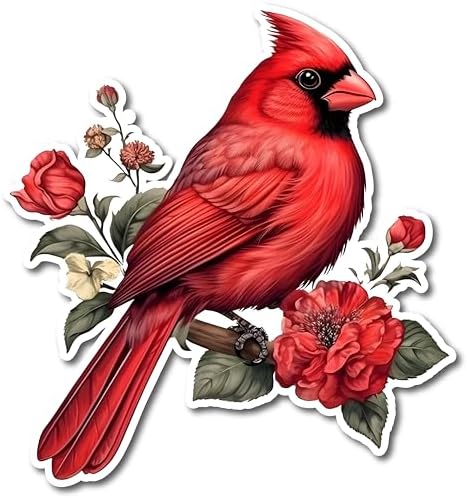 Amazon.com - Yoonek Graphics Ohio Northern Cardinal Bird Scarlet ...