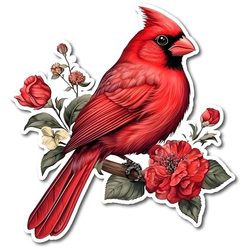 17 Spiritual Meanings Of Northern Cardinal: Divine Insights