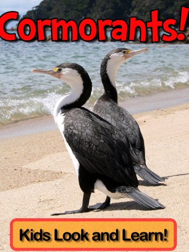 Cormorants! Learn About Cormorants and Enjoy Colorful Pictures - Look ...