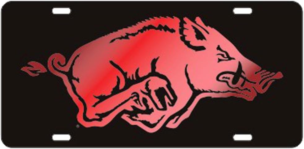 Amazon.com: Arkansas Razorbacks Anodized License Plate : Automotive