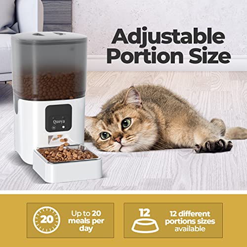 The 30 Best Automatic Dog Feeders with Timer of 2025 [Verified ...