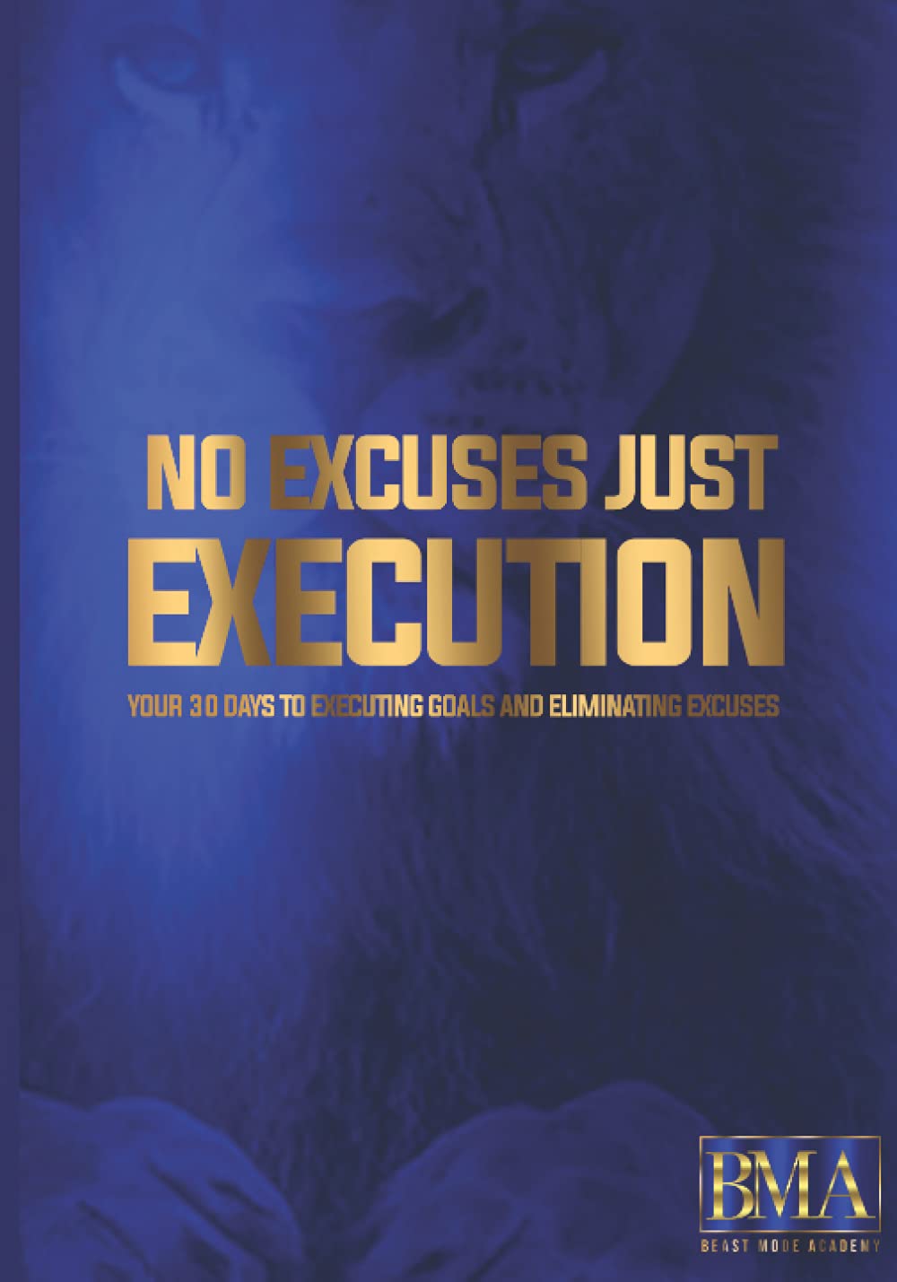 No Excuses Just Execution: Your 30 Days of Executing Goals and ...