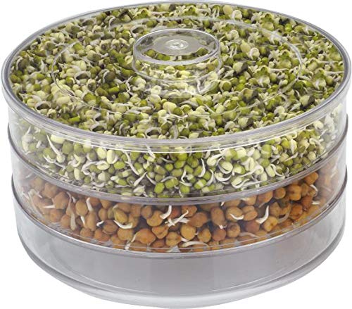 Buy SSV Stainless Steel Sprout Maker Small (Transparent, 69 oz) Online ...