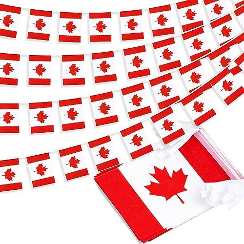 Amazon.com : Canada String Flag Pennant Banner, Small Mini Canadian ...