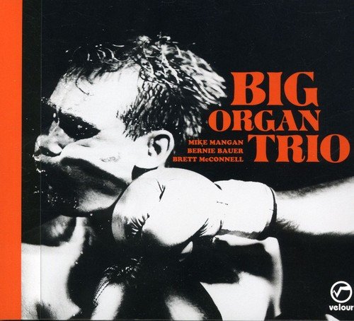 Amazon.com: Big Organ Trio: CDs & Vinyl