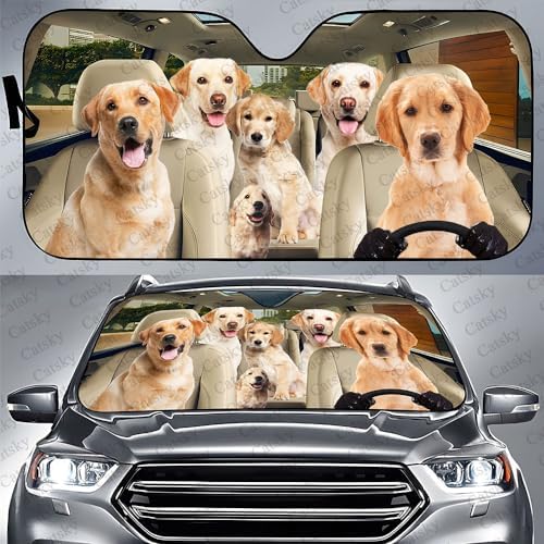 Amazon.com: Labrador-Retriever Dog Driving Car Interior Front ...