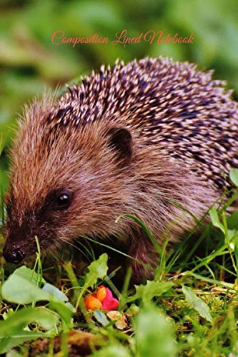 Composition ned Notebook: Version 23, Lined Notebook, College Stylish ...